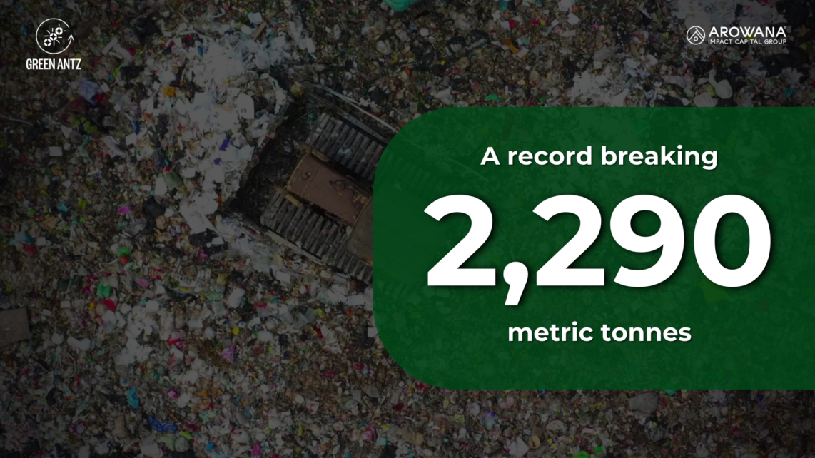 Green Antz, backed by Arowana Impact Capital, sets another record ...